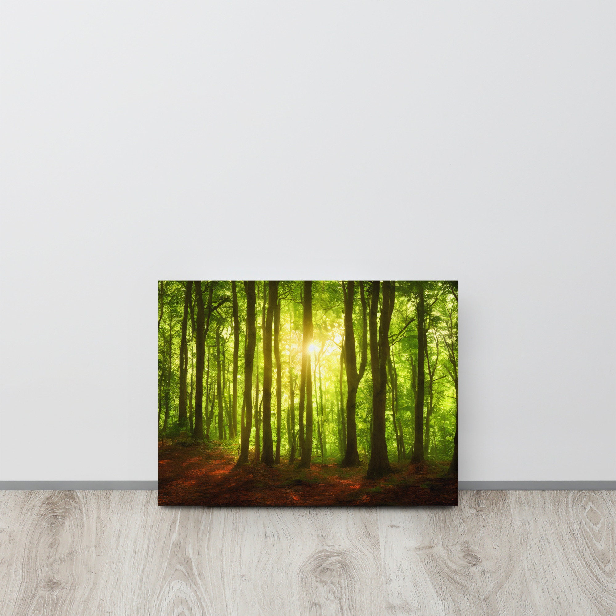 Morning Sun Rays, Forest Pathway, Branches, Trees Scenery of Nature ...