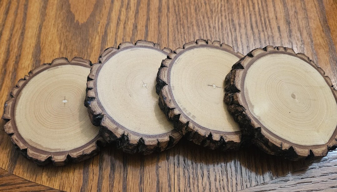 Handcrafted Tree Branch Wood Coasters (set of 4) - Etsy