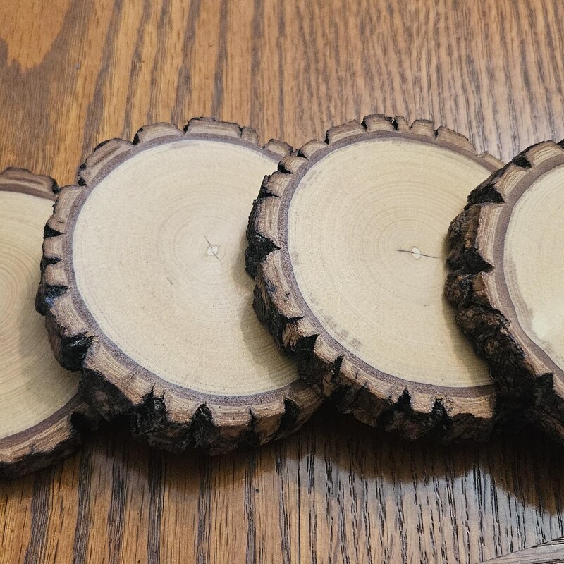 Tree Branch Slices - Etsy