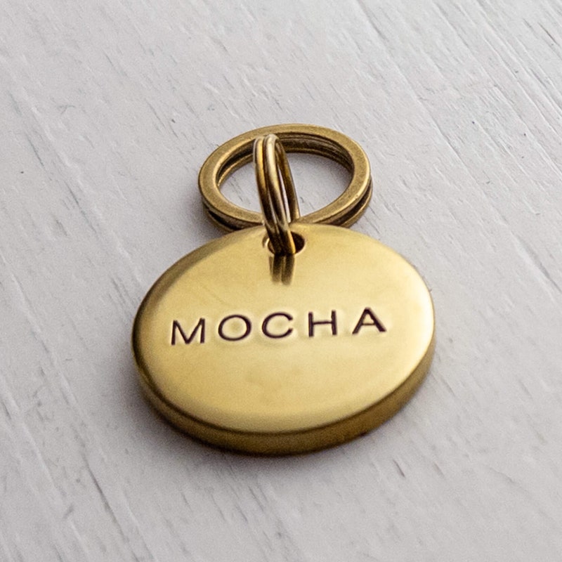 Dog Tag Charms Brass - Etsy