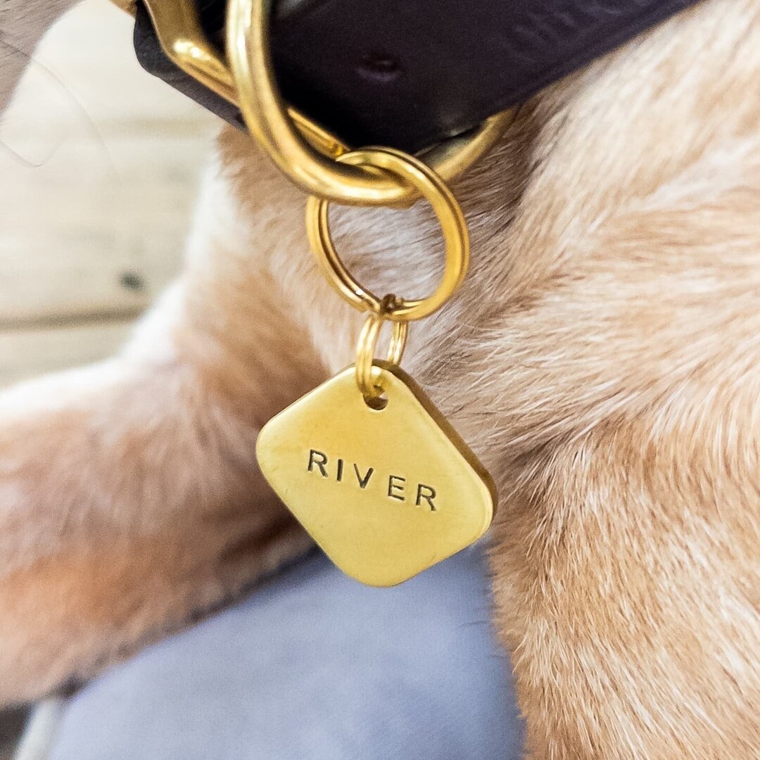 Diamond-shaped Dog Tag in a Minimalist Style. This Tag is Personalized ...
