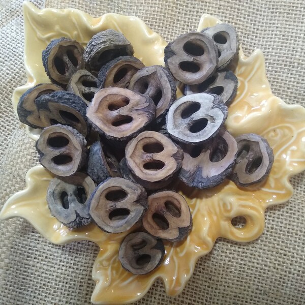 Black Walnut Shells - Etsy