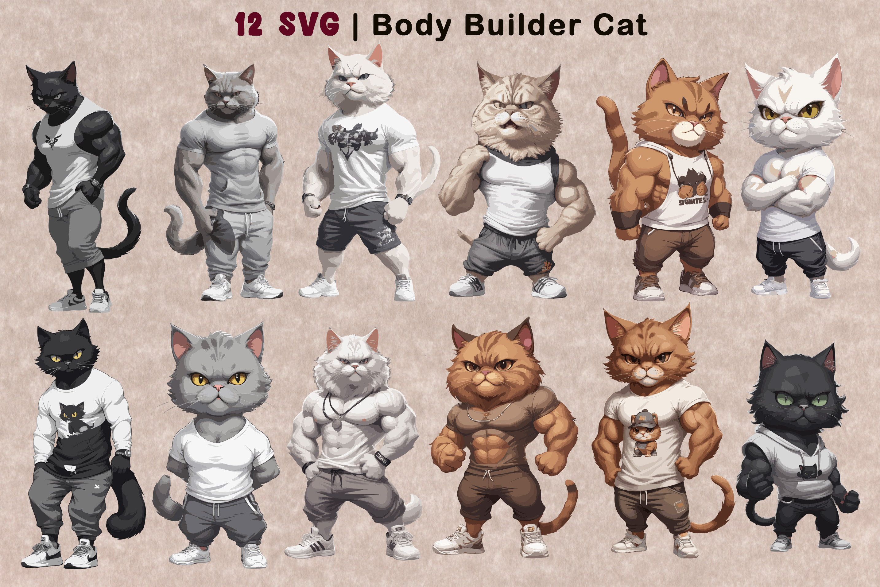 Bodybuilder Cat Fitness Cats Cute Cats Body Building - Etsy