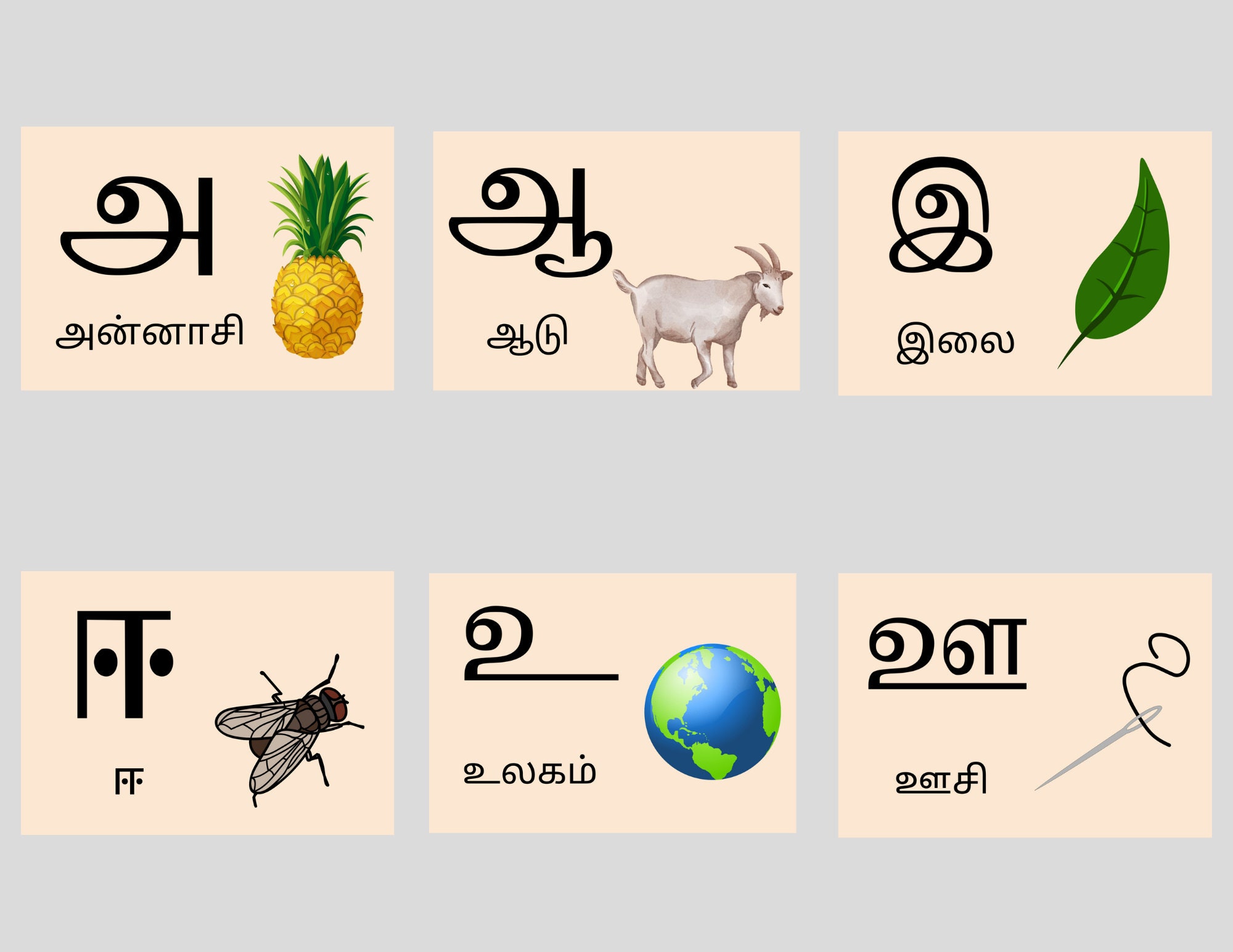 Tamil Flashcards Tamil Vowels First Tamil Words Learn Tamil/thamizh - Etsy
