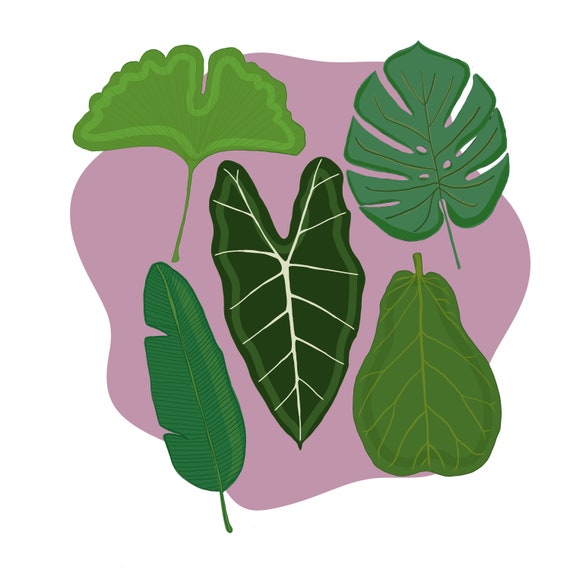 Tropical Leaves Digital Clipart Green Leaf Exotic Forest - Etsy