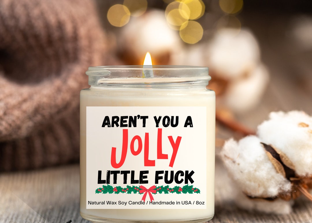 Aren't You a Jolly Funny Christmas Decor Christmas Candle Funny Gift ...