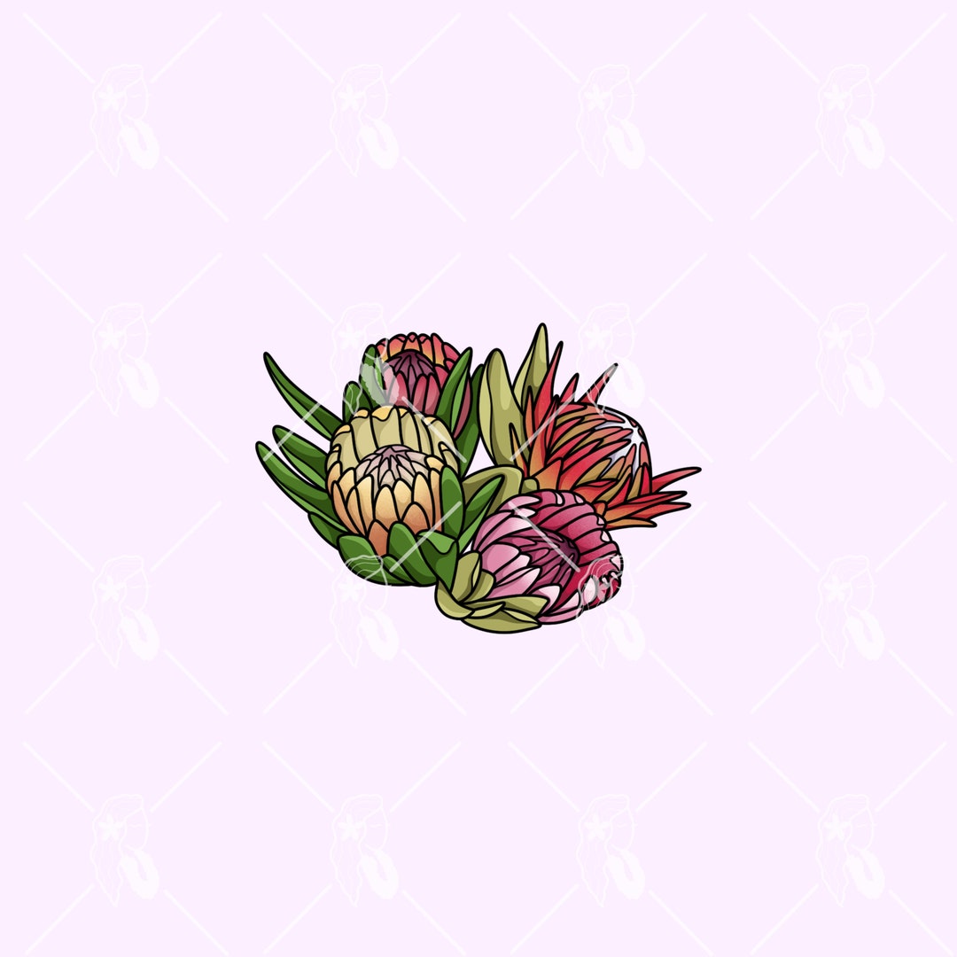 Protea, Protea Sticker, Protea PNG, Transparent Background - Etsy