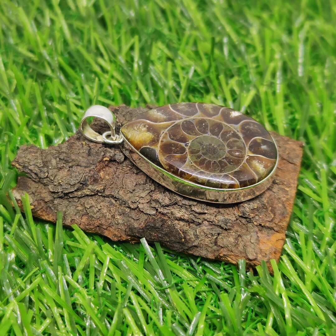 Natural Ammonite Pendant, Handmade Pendant, Fossil Shell Pendant ...