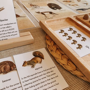 Animals in Fall Study Pack - Etsy