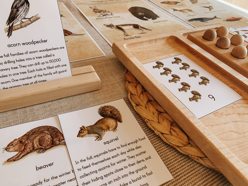 Animals in Fall Study Pack - Etsy