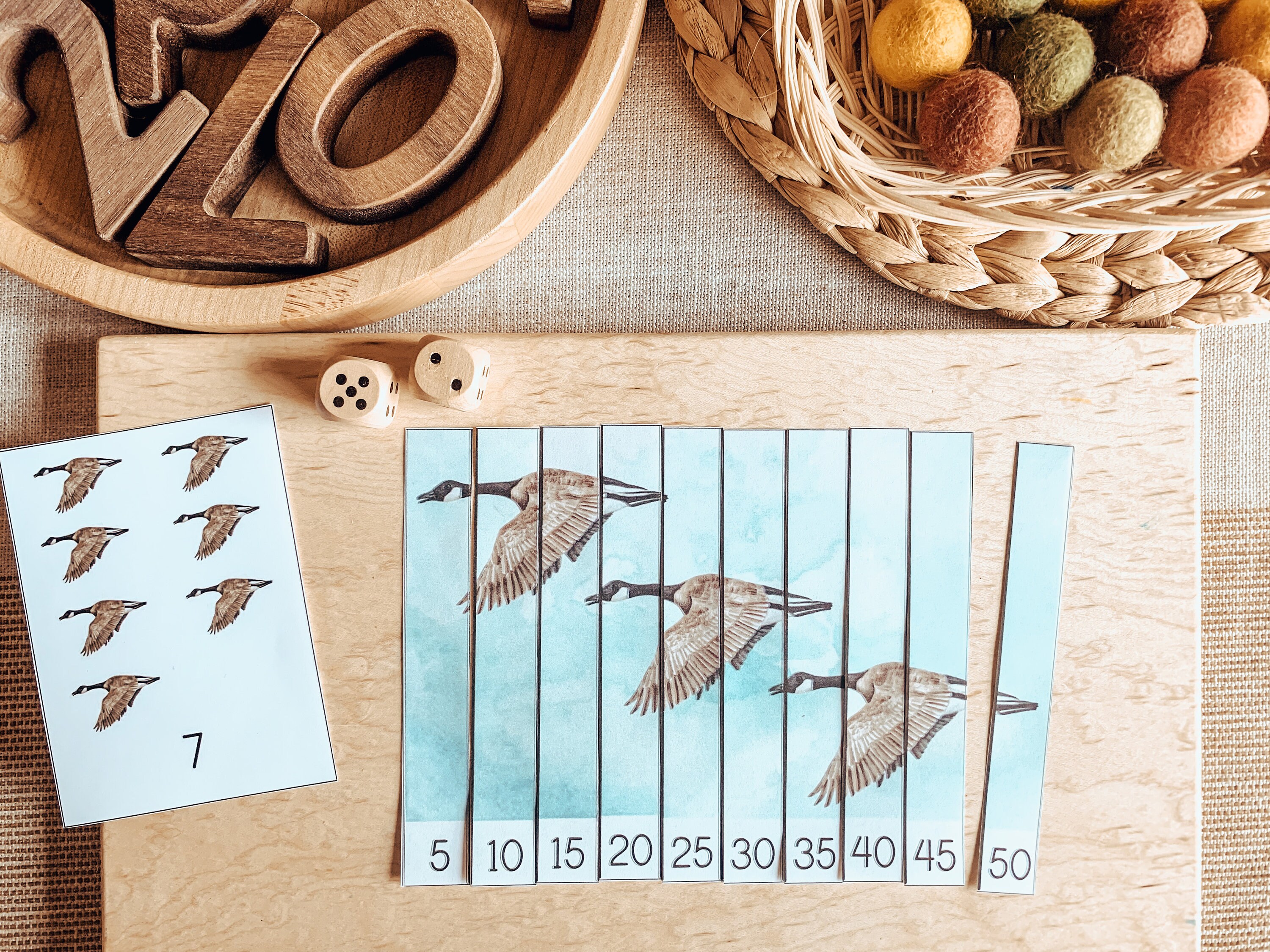 Animals in Fall Study Pack - Etsy