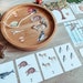 Animals in Fall Study Pack - Etsy