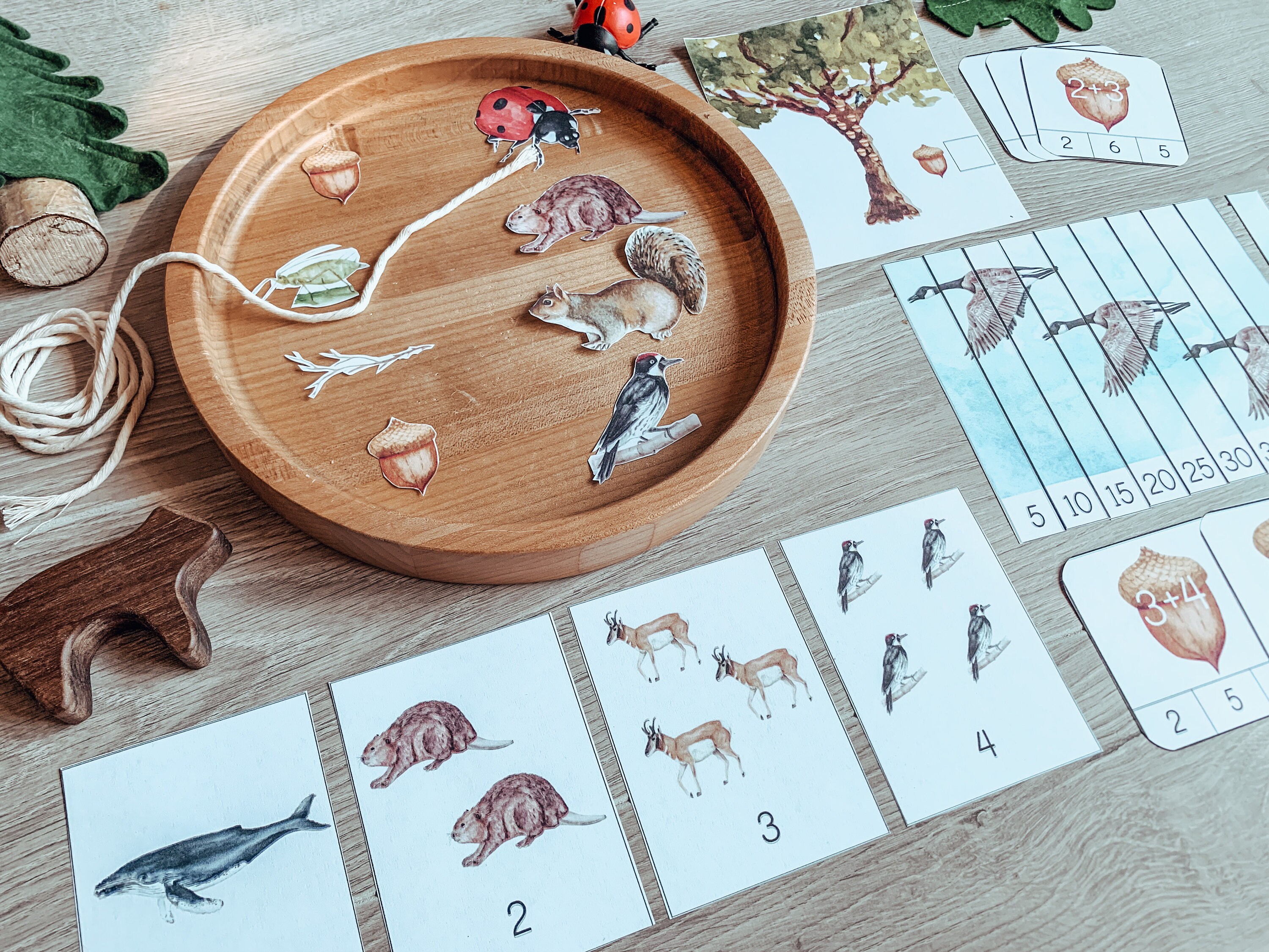 Animals in Fall Study Pack - Etsy