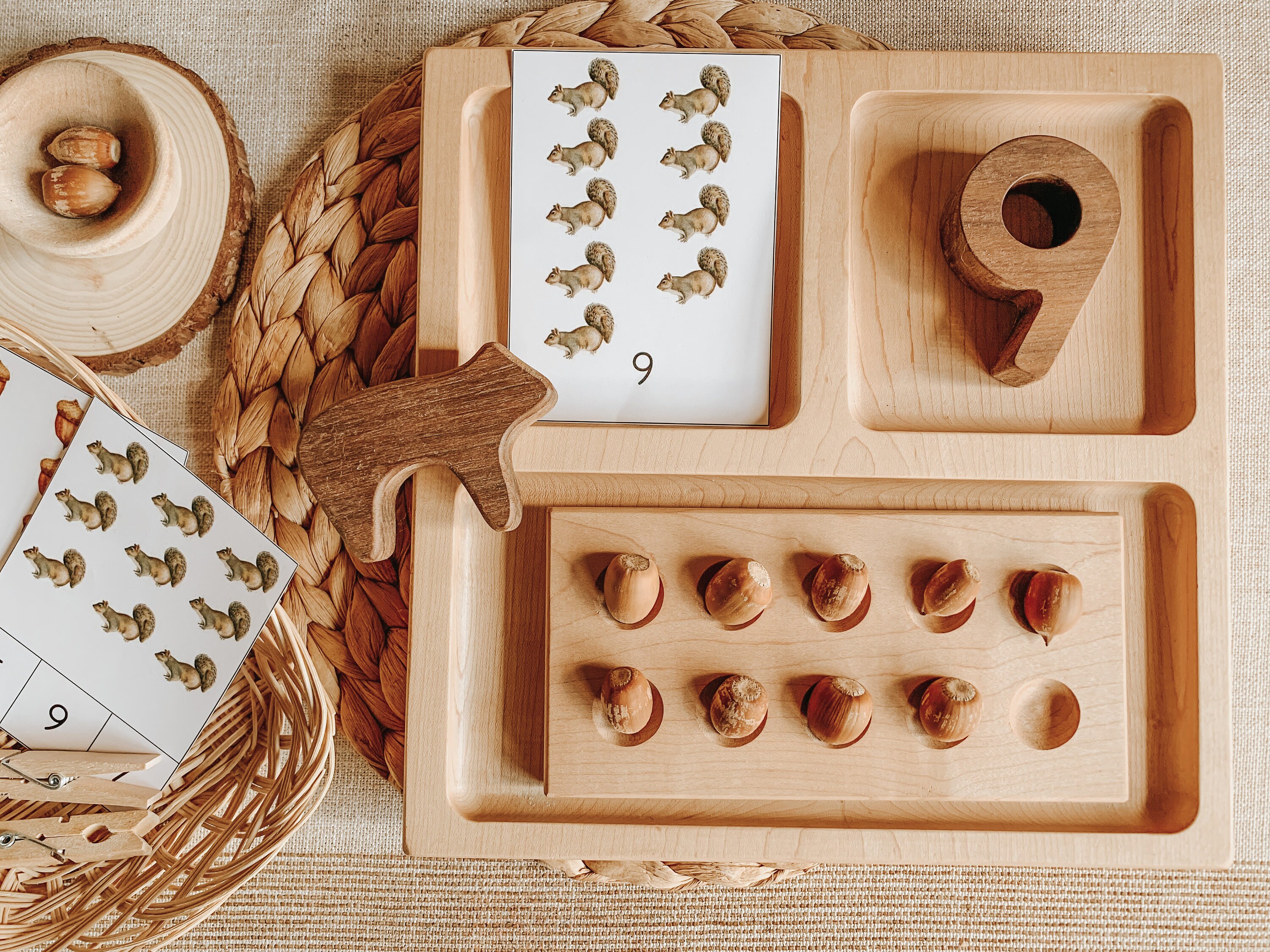 Animals in Fall Study Pack - Etsy