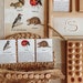 Animals in Fall Study Pack - Etsy