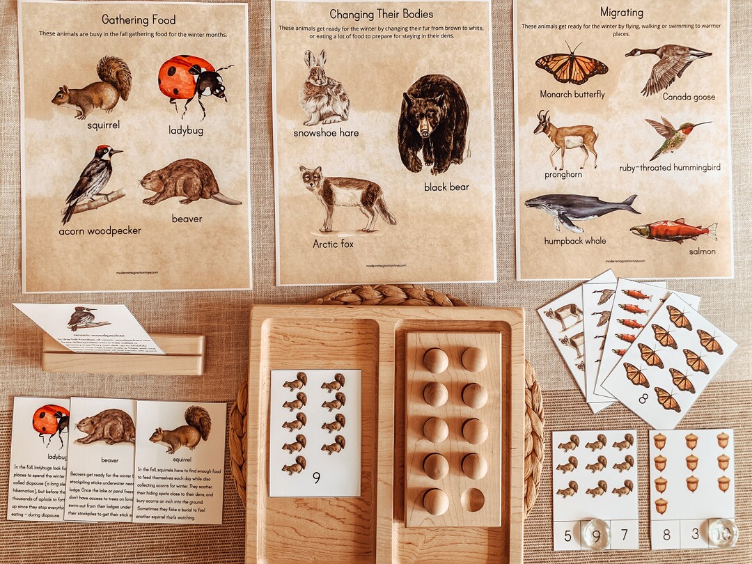 Animals in Fall Study Pack - Etsy