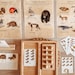 Animals in Fall Study Pack - Etsy