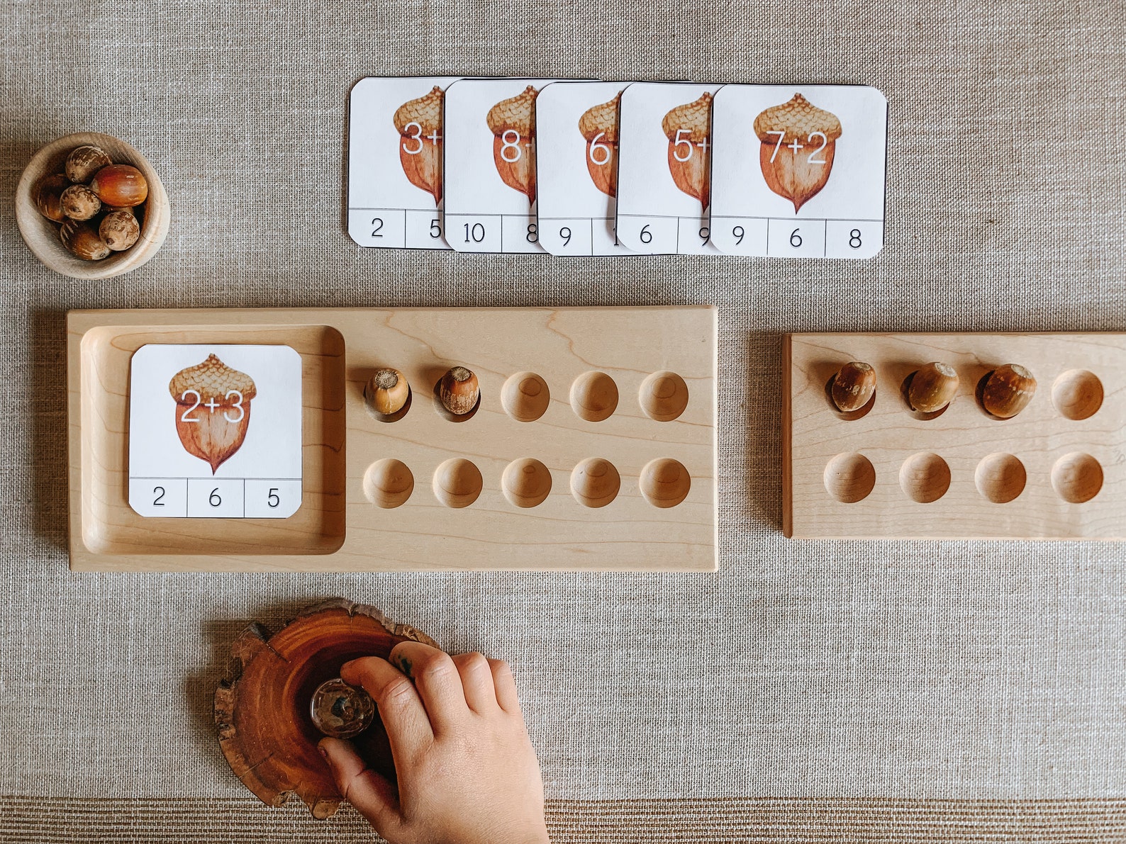 Animals in Fall Study Pack - Etsy