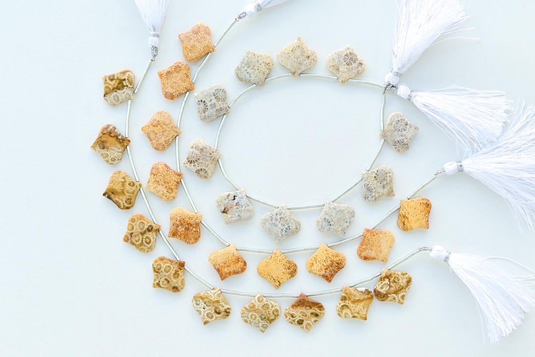 10 Pieces Fossil Coral Smooth Ogee Slanted Spindle Beads | Natural ...