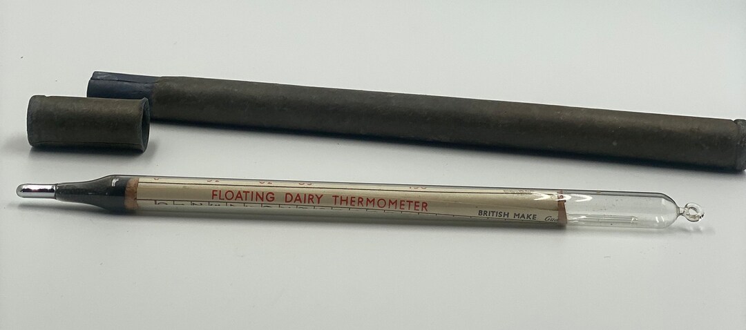 Antique Floating Dairy Thermometer - Still in Working Condition in ...