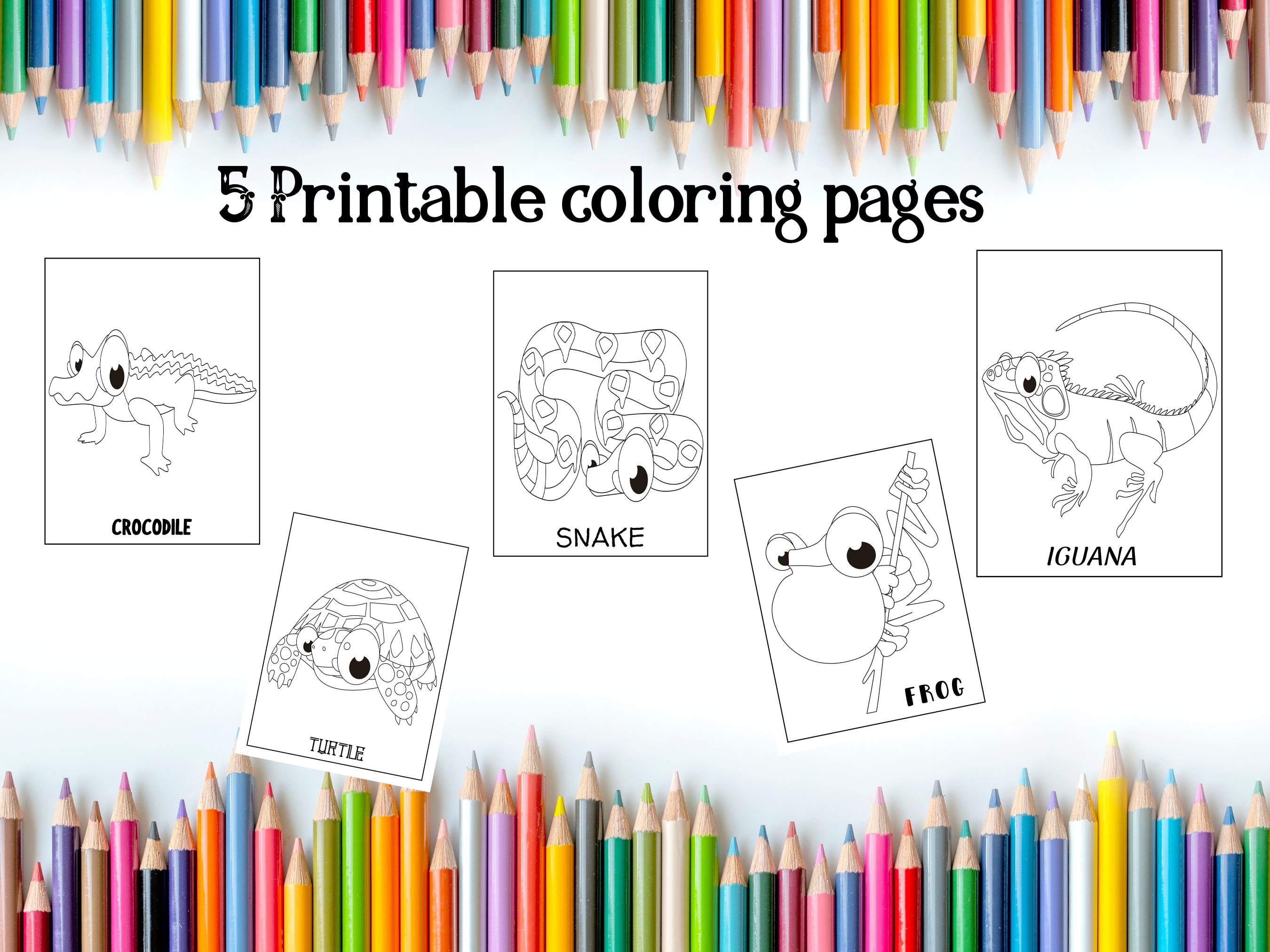 5 Coloring Pages, Printable, Simple, Reptiles, Animals, for Kids, PDF ...