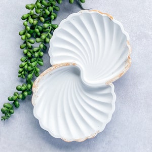 Double Clam Shell - Etsy