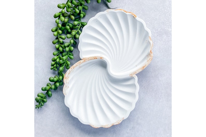 Double Clam Shell - Etsy