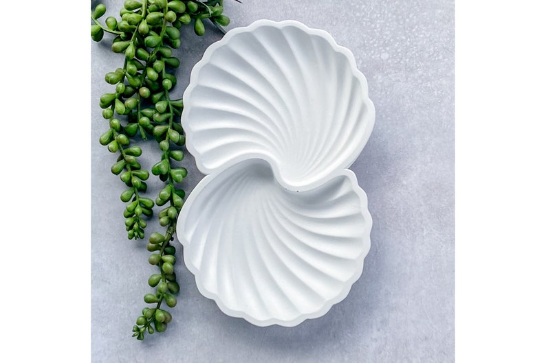 Double Clam Shell - Etsy