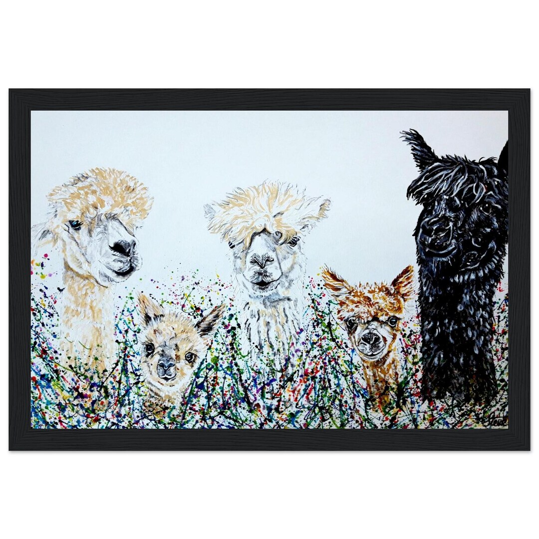 Alpacas Splash Fine Art Wooden Framed Poster - Etsy