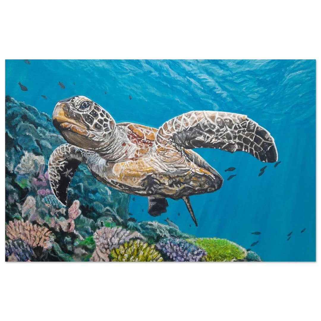 Sea Turtle Museum-quality Matte Paper Poster - Etsy UK