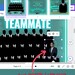Template Canva- Organization/board/team Members (code: ORG4) - Etsy