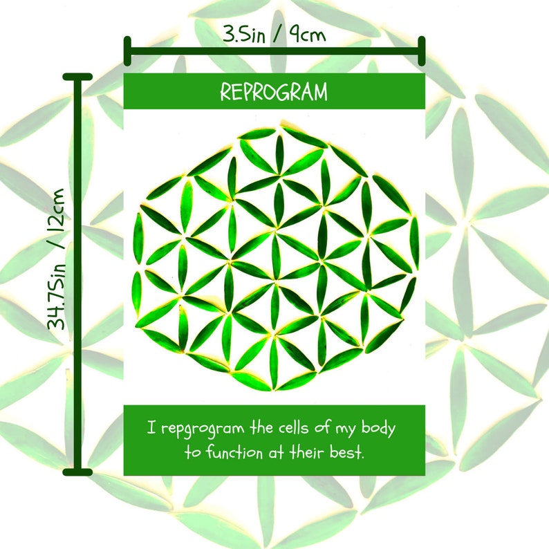 Flower Power Affirmation Cards - Etsy