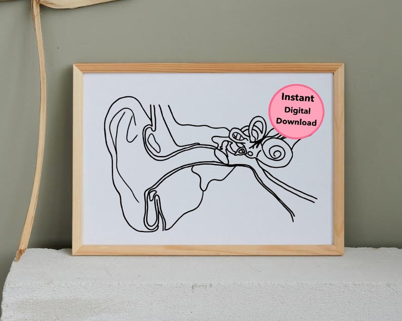 Ear Anatomy Line Art/inner Ear/printable Wall Art/audiology Office ...