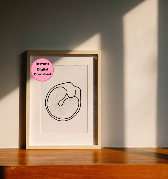 Ear Anatomy Line Art/inner Ear/eardrum/printable Wall - Etsy