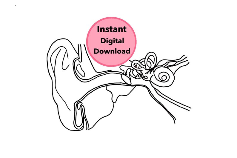 Ear Anatomy Line Art/inner Ear/printable Wall Art/audiology Office ...