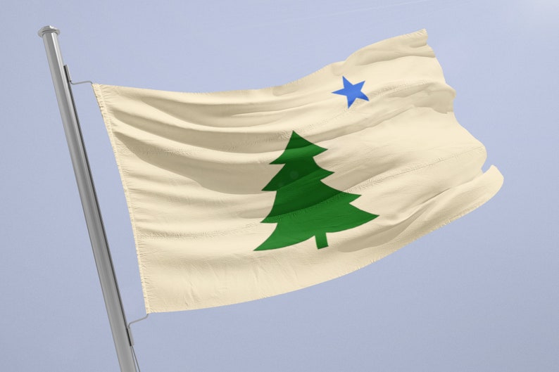 1901 Old Maine State Flag, Original Maine Flag, Maine Pine Tree & Star ...