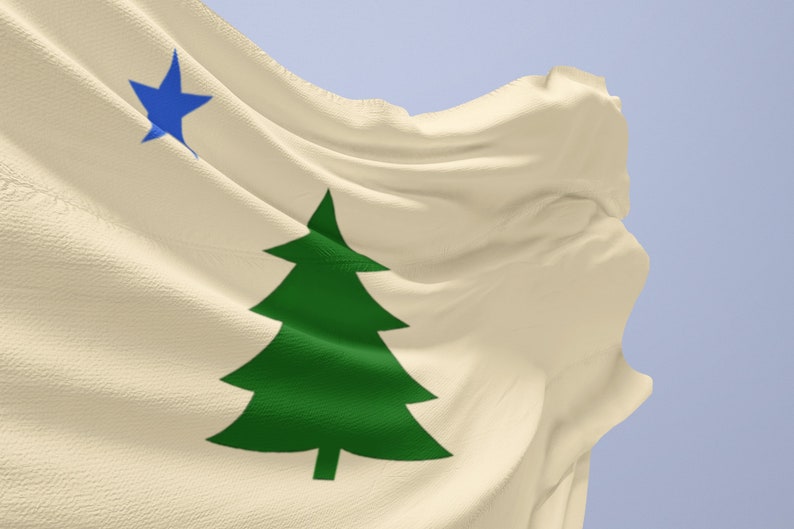 1901 Old Maine State Flag, Original Maine Flag, Maine Pine Tree & Star ...