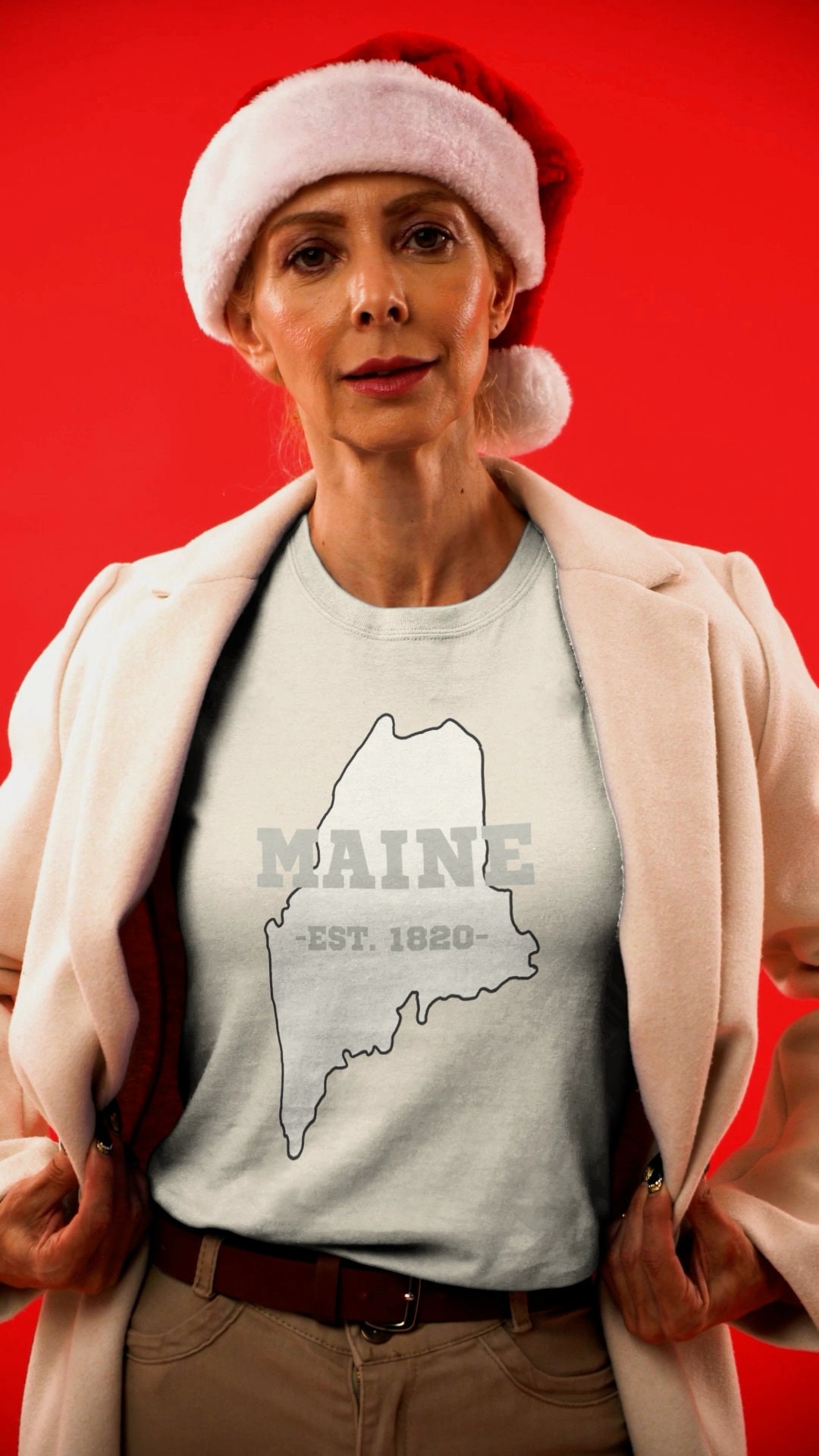 Maine Plush Bear With Maine Map T-shirt,maine Xmas Gift,maine Teddy ...