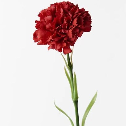 Real Touch Carnation Single Stem Artificial Flower - Etsy