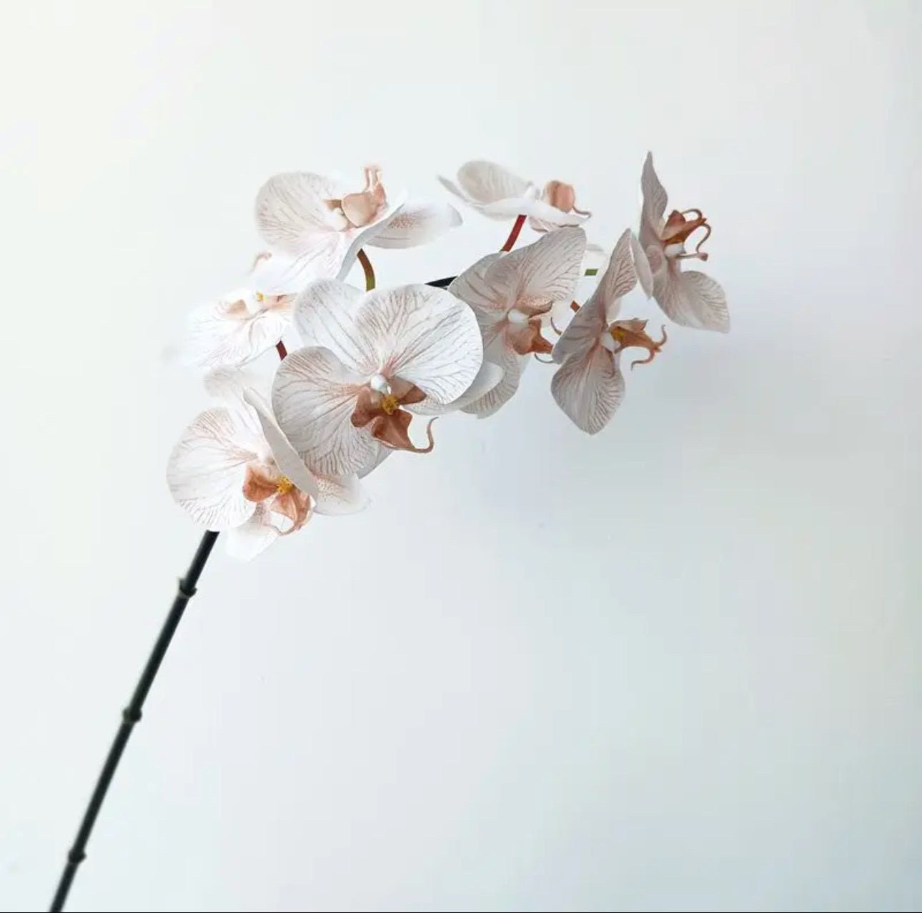 Real Touch Phalaenopsis Orchid Stem Faux Flower - Etsy