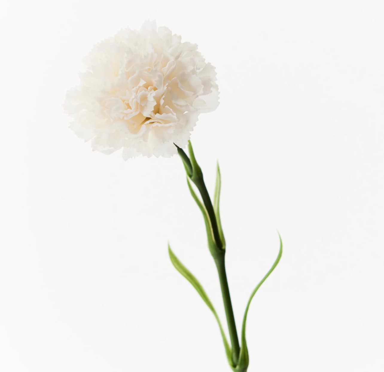 Real Touch Carnation Single Stem Artificial Flower - Etsy