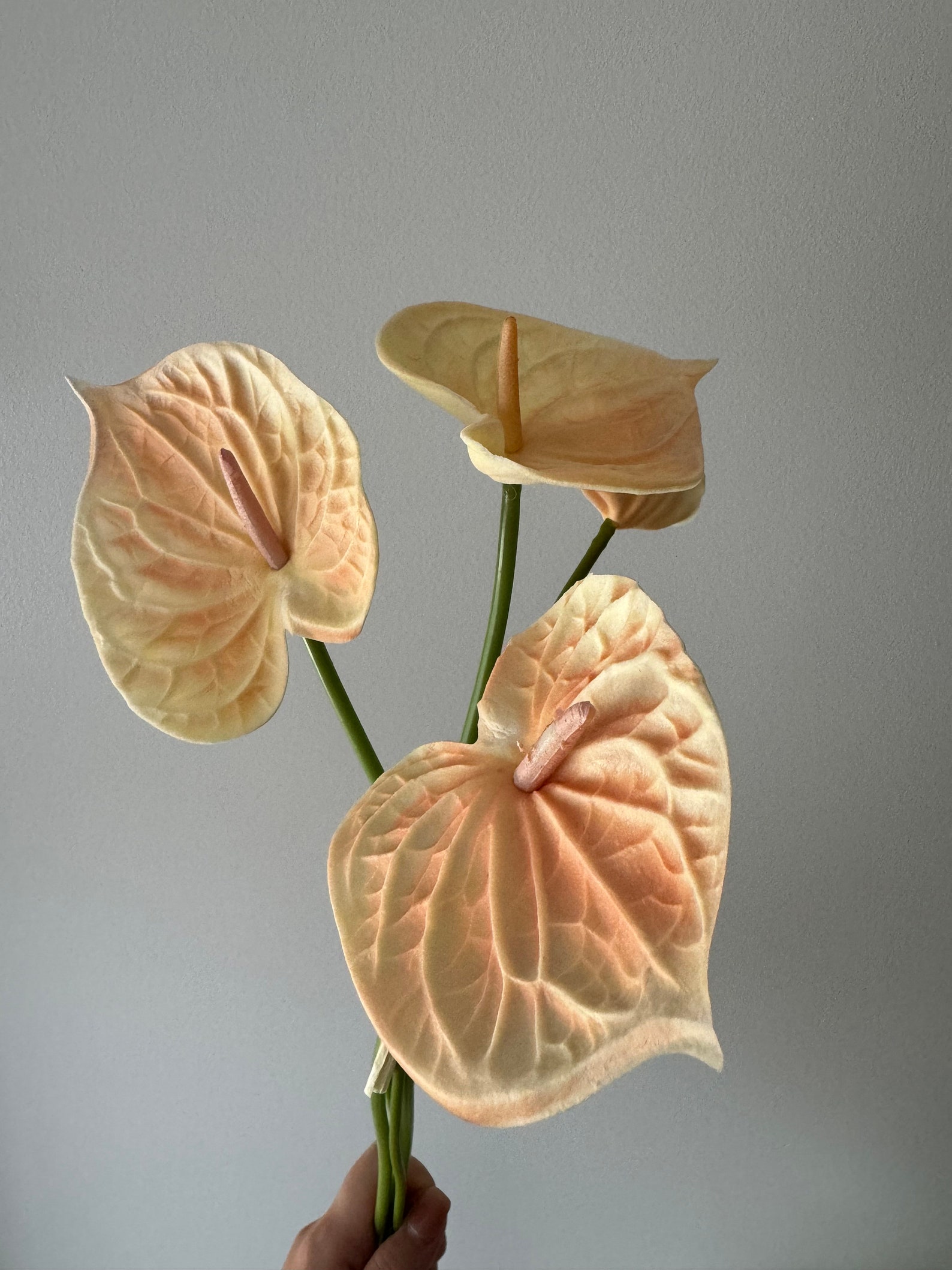 4pc Real Touch Anthuriums Bunch - Etsy