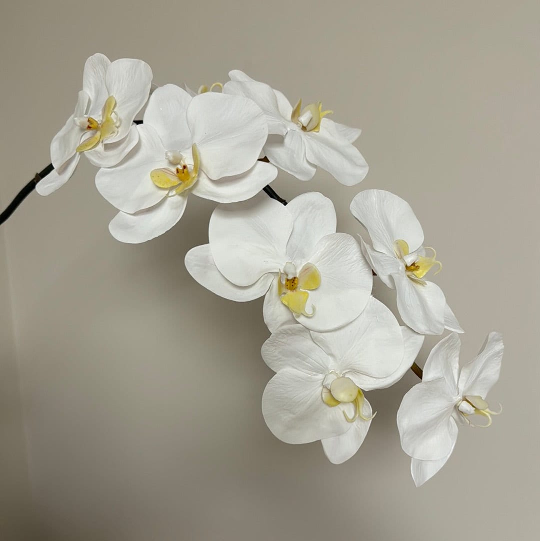 Real Touch Phalaenopsis Orchid Stem Faux Flower - Etsy