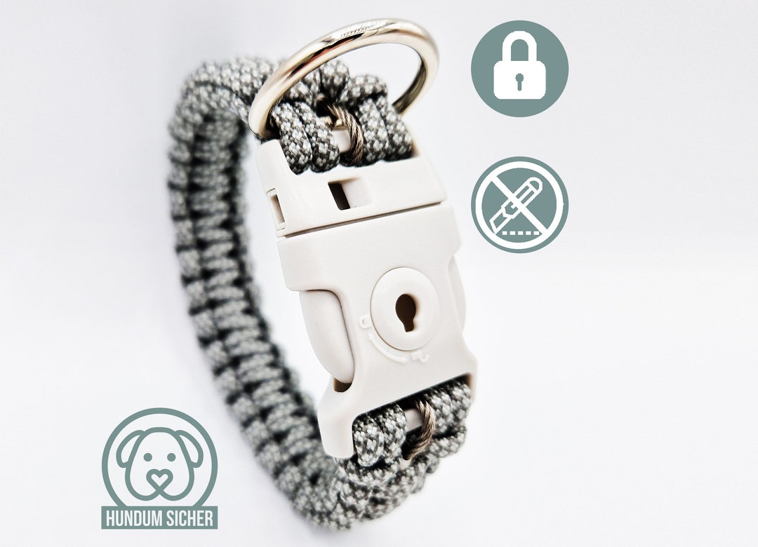 Anti-theft Dog Collar - Lockable With Lock [gray] - Etsy