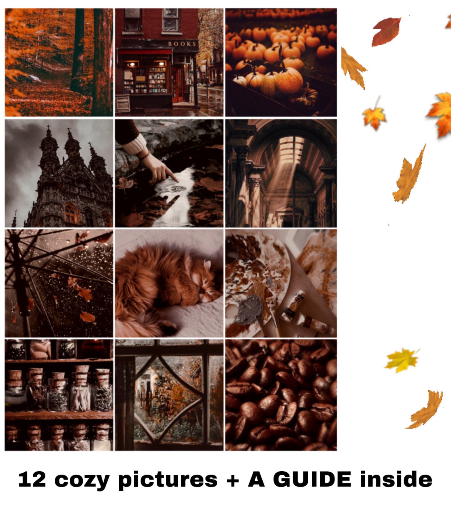 Autumn Collage Kit, Fall Collage Kit Aesthetic, Trendy Room Decor ...