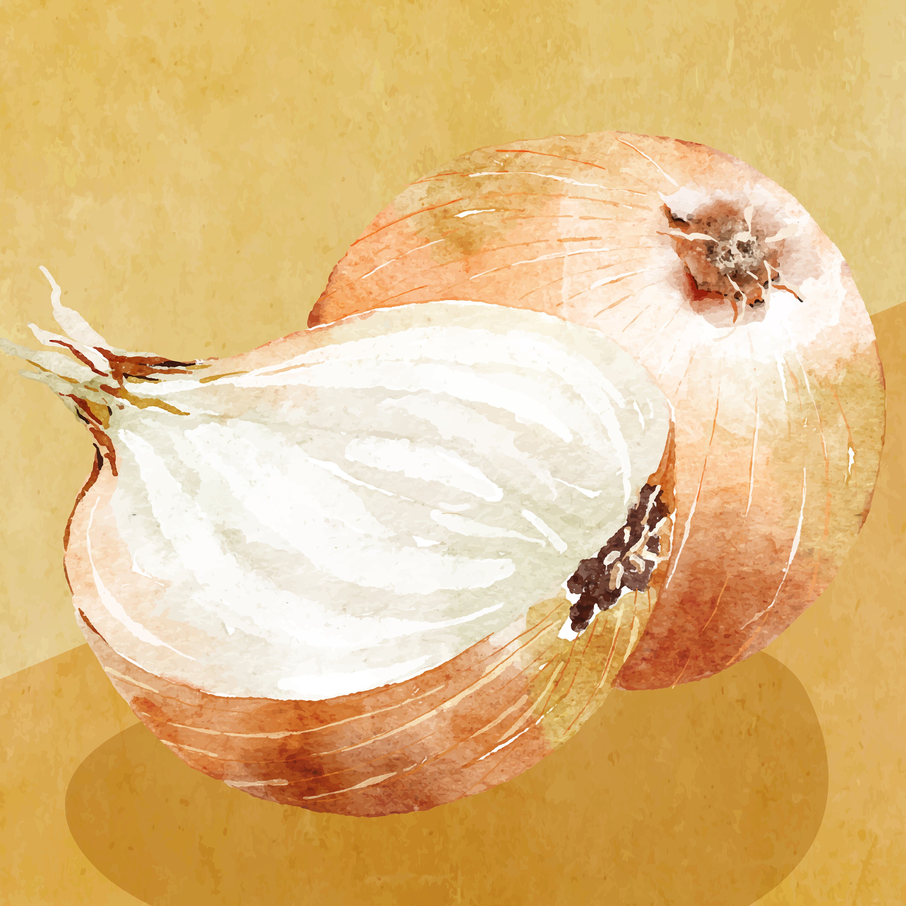 Retro Onion Poster, Onion Wall Art, Food Poster, Onion Print, Kitchen ...