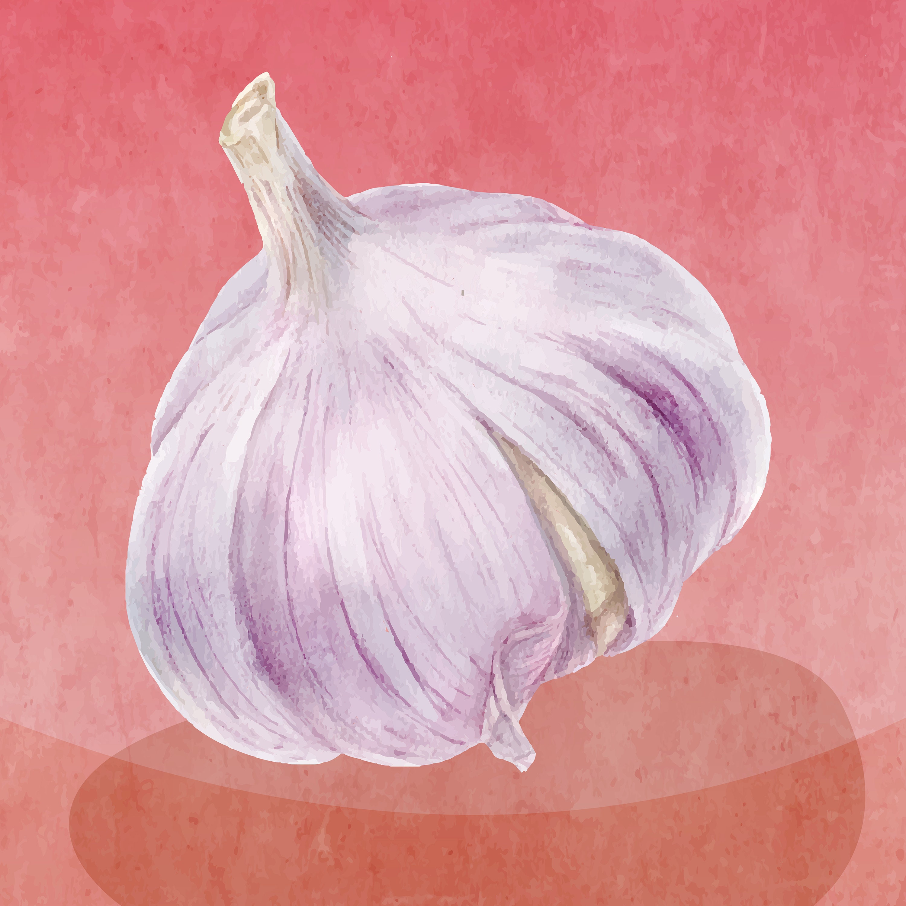 Retro Garlic Poster, Food Wall Art, Food Poster, Garlic Print, Kitchen ...