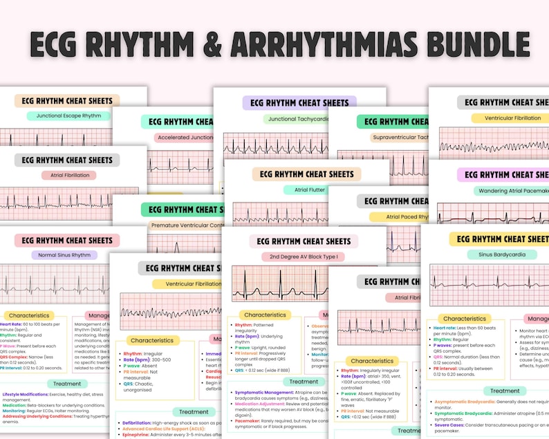 All-in-one Nursing Cheat Sheet Bundle | Nursing Notes | Pharmacology ...