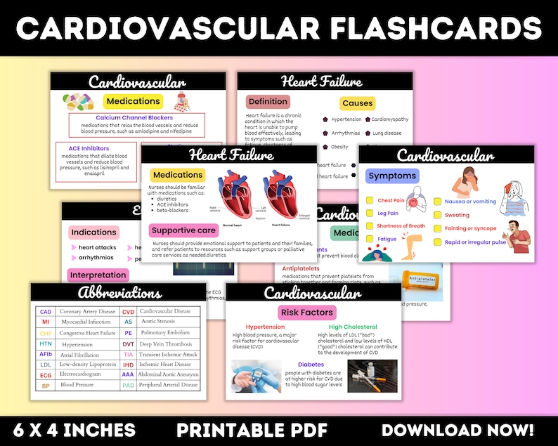 15 Cardiovascular Flashcards Printable Nursing Students Notes Anatomy ...