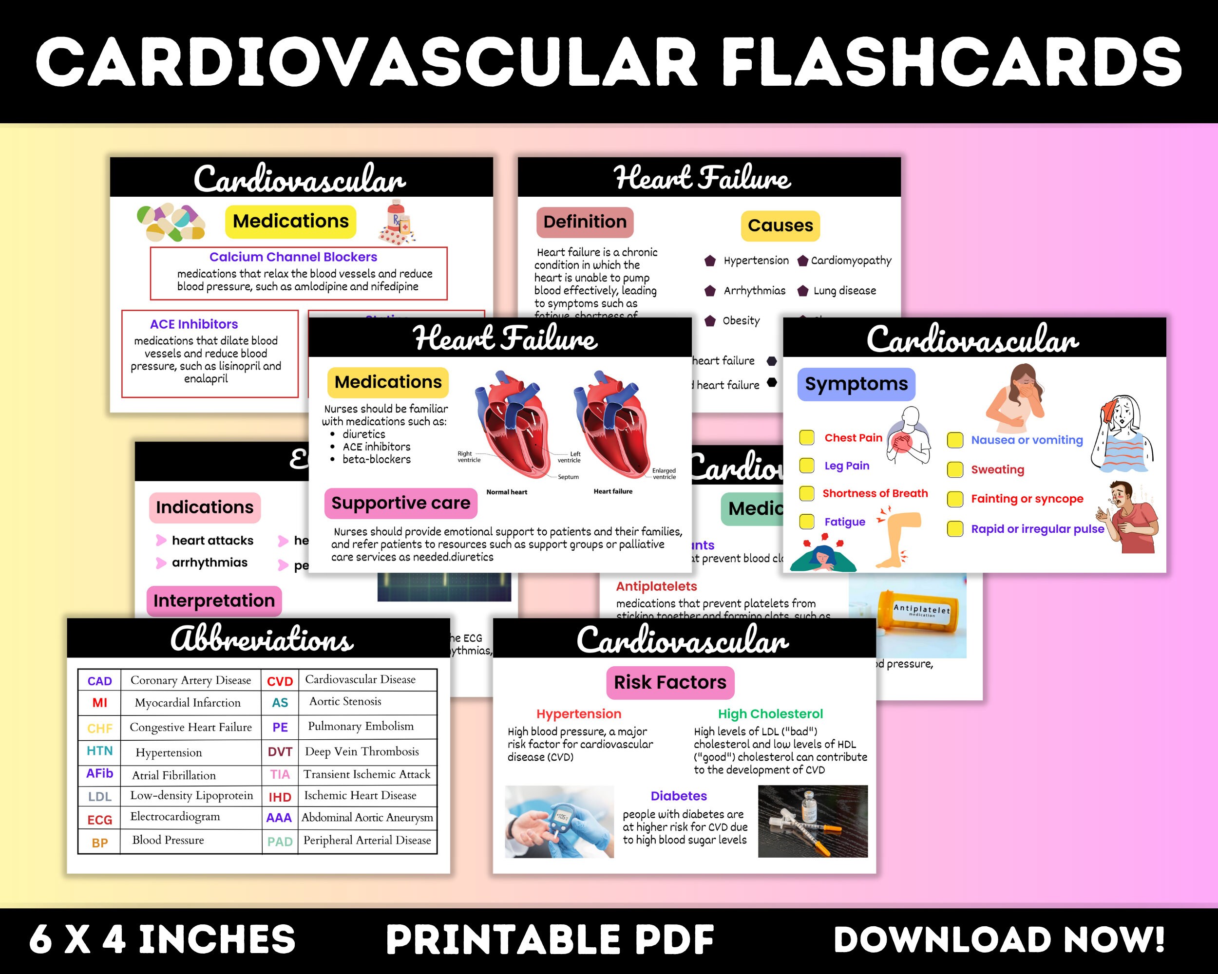 15 Cardiovascular Flashcards Printable Nursing Students Notes Anatomy ...